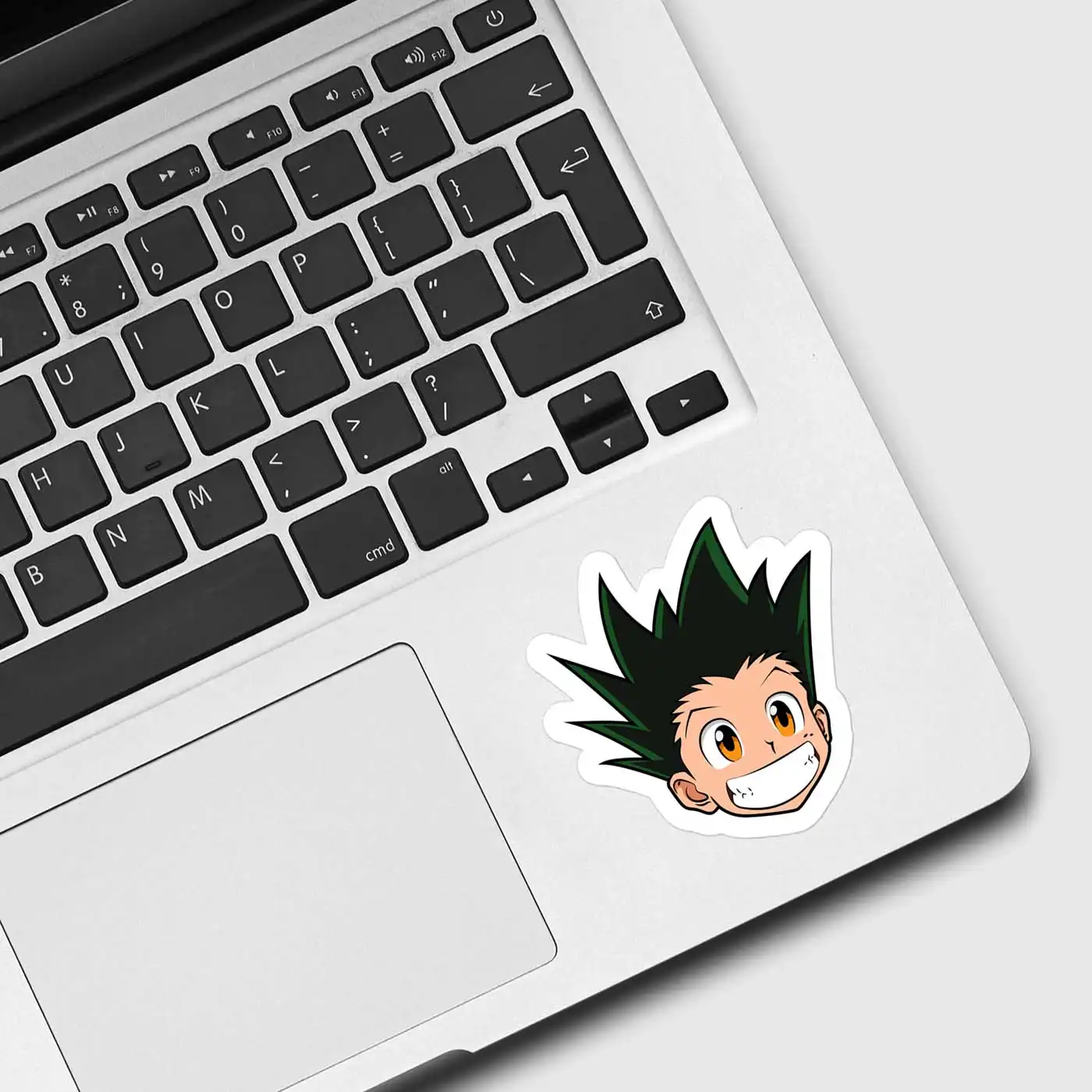 Hunter x Hunter Smiling Gon Freecss Sticker